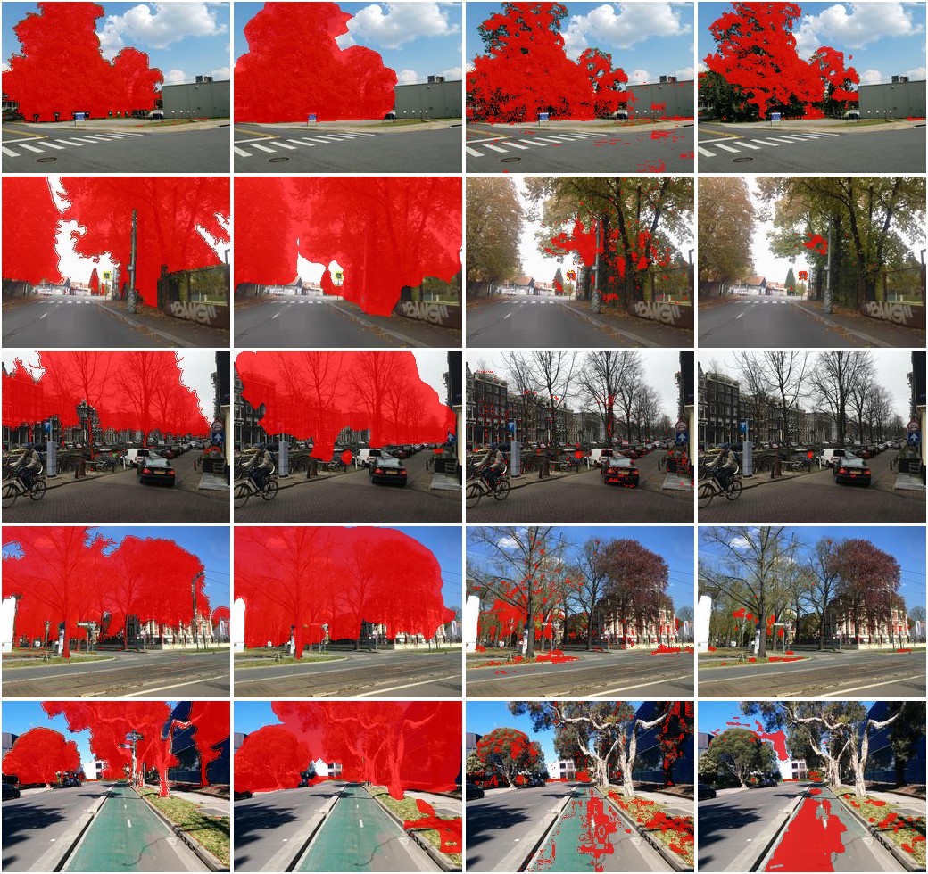 Mapping the urban forest at street level | Data Science Campus